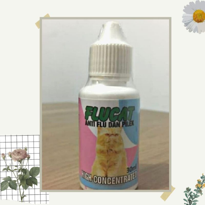 Jual FLUCAT 30ml | OBAT ANTI FLU DAN PILEK KUCING | Obat Kucing | 100% ...