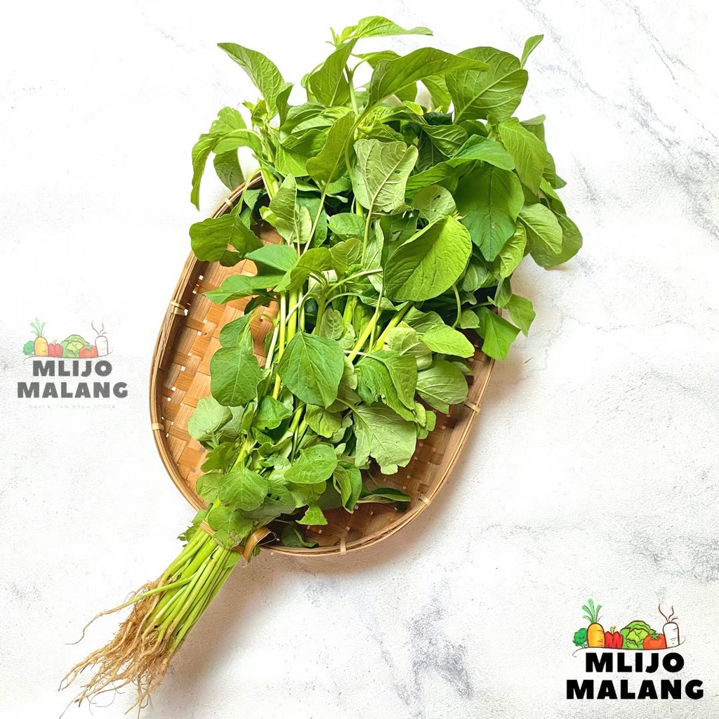 Jual Sayur Bayam Per Ikat | Shopee Indonesia