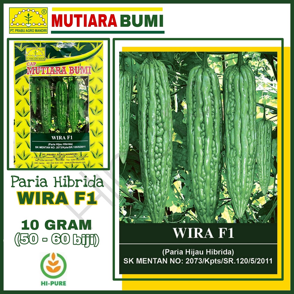 Jual BENIH PARIA HIBRIDA WIRA F1 ISI 10 GRAM (Sekitar 50-60 butir benih ...