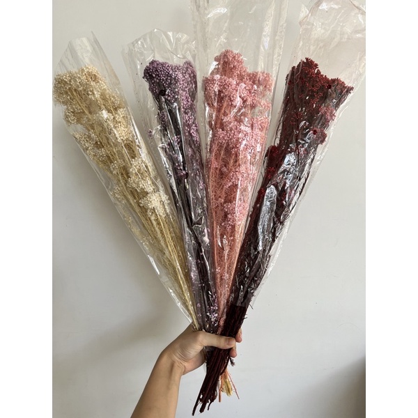 Jual RICE FLOWER / BUNGA KERING SURABAYA BUNGA BERAS PERTANGKAI ...