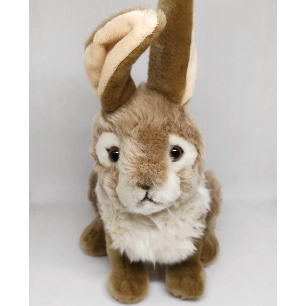 Jual Boneka Kelinci (M) | Shopee Indonesia