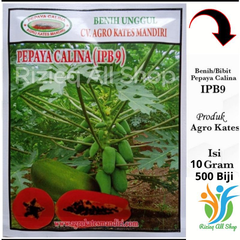 Jual Biji Bibit Pepaya CALINA IPB-9/ CALIFORNIA isi 10Gr sekitar 500 ...