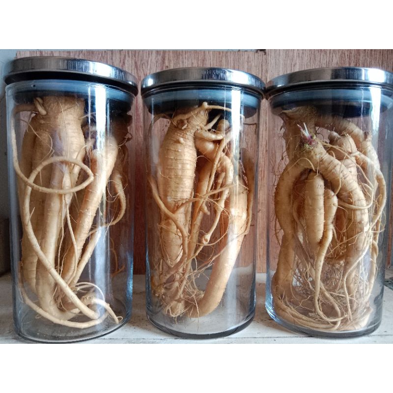 Jual ginseng Merah Korea Jumbo+ Botol 1050ml | Shopee Indonesia