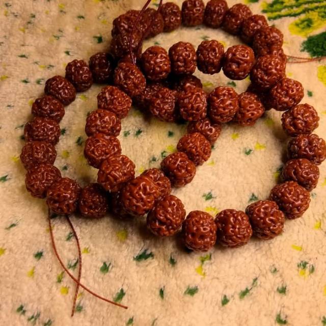 Jual RUDRAKSHA GELANG JENITRI HALUS GLOWING | Shopee Indonesia