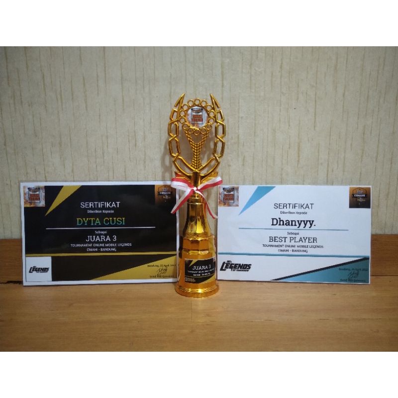 Jual TROPHY/PIALA KEJUARAAN + SERTIFIKAT TEAM DAN BEST PLAYER COCOK ...