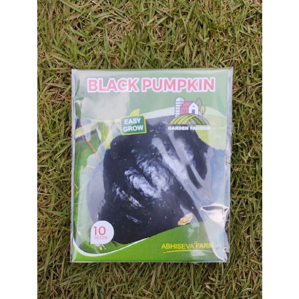 Jual Benih Black Pumpkin(Benih Labu Hitam) | Shopee Indonesia