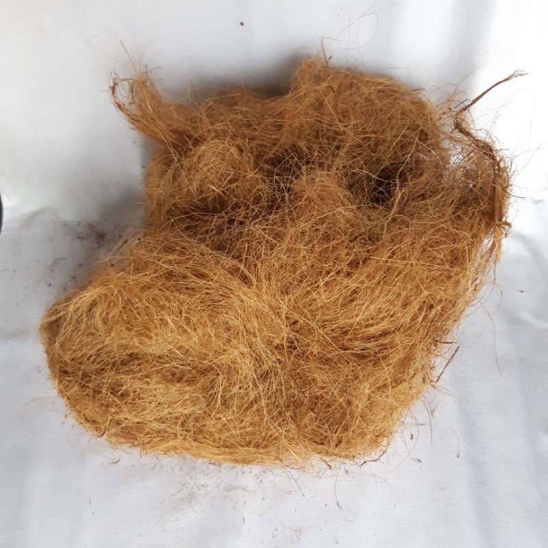 Jual Coco Fiber/sabut kelapa/Media Tanam/Media Tanam Anggrek | Shopee ...