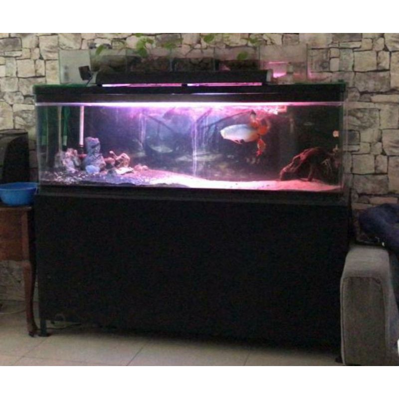 Jual AQUARIUM ACE SECOND 175X45X45 KACA 12MM GH BENDING PLUS RAK BESI ...