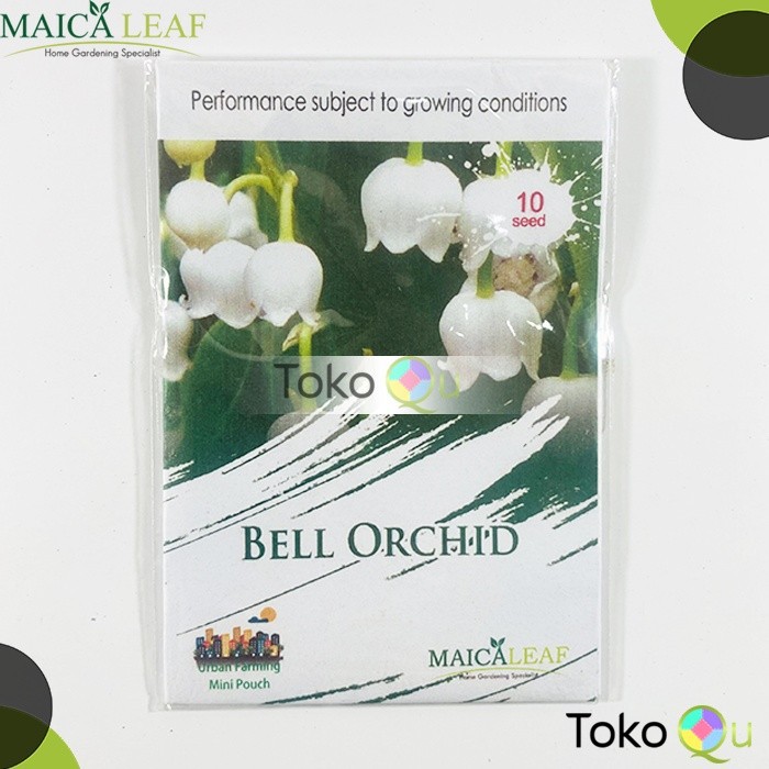 Jual Benih Bibit Anggrek Lonceng - Bell Orchid Maica Leaf | Shopee ...