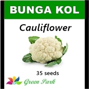 Jual Benih Biji Bunga Kol Cauliflower Pack - 35 Biji - GP | Shopee ...