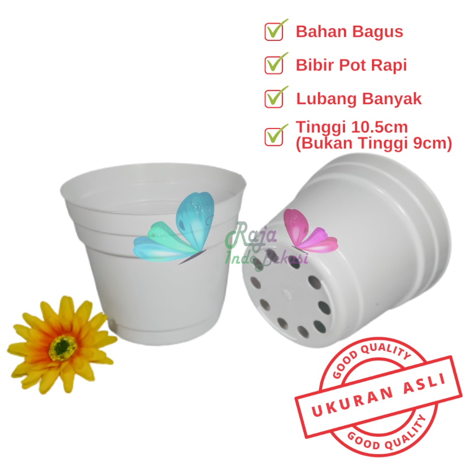 Jual Pot 12 Putih Polos - Pot 12 Cm Putih Kecil Mini Minimalis Plastik ...