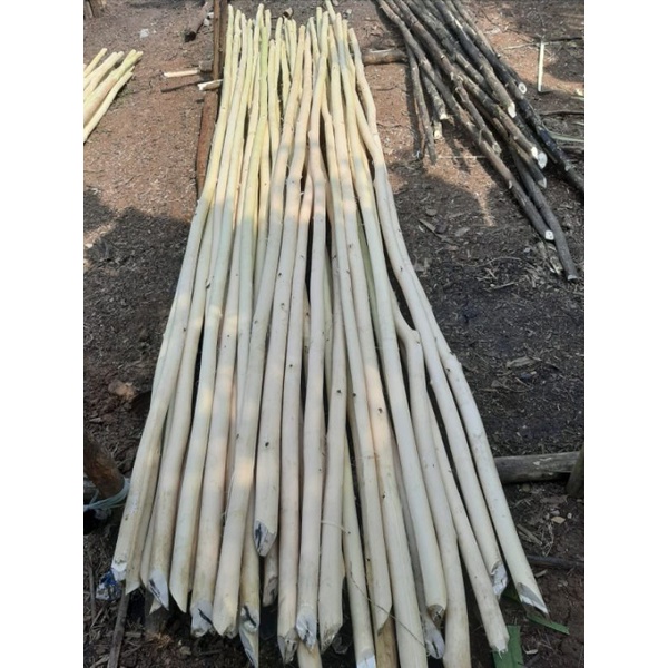 Jual Kayu Dolken Terlengkap & Harga Terbaru Mei 2026 | Shopee Indonesia