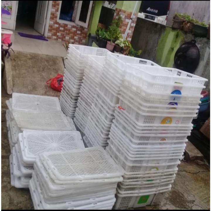 Jual Kranjang Keranjang Buah Bekas Kelengkeng Murah | Shopee Indonesia