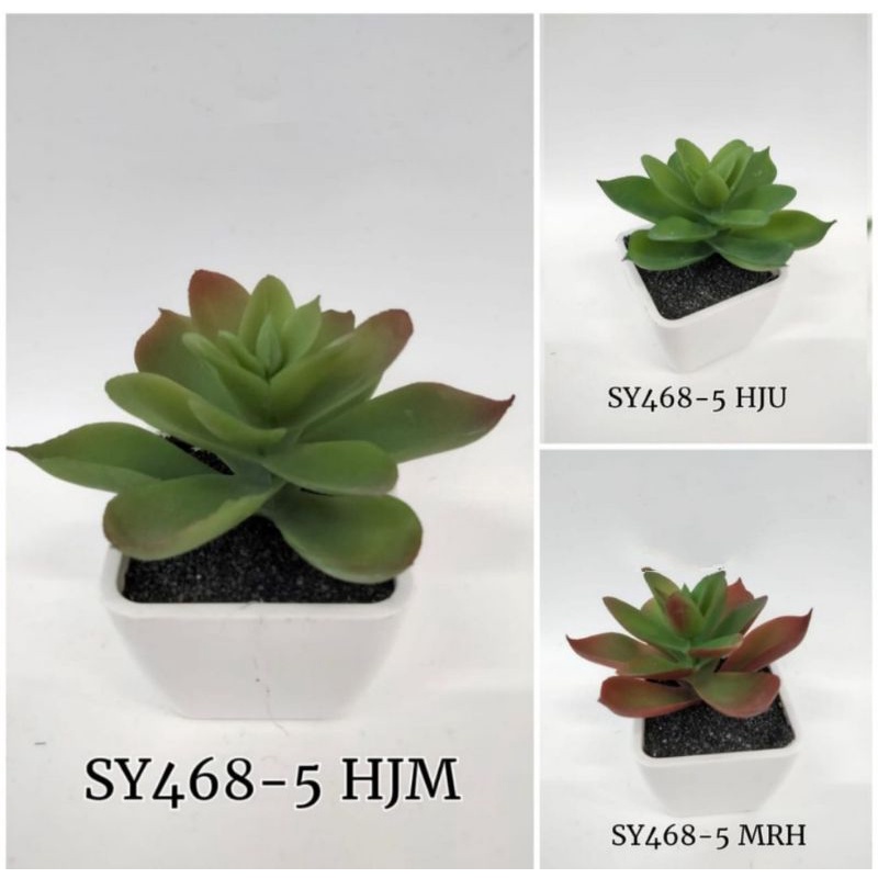 Jual Pot Tanaman Kaktus / Bunga Plastik / Bunga Hias palsu / SY468-3 ...