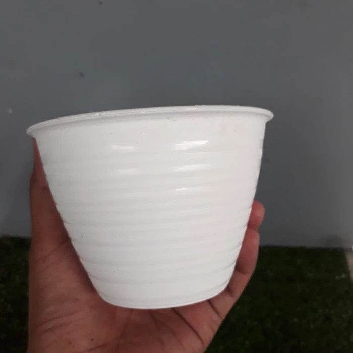 Jual Pot bunga tawon 10, pot bunga plastik putih, pot bunga putih bagus ...