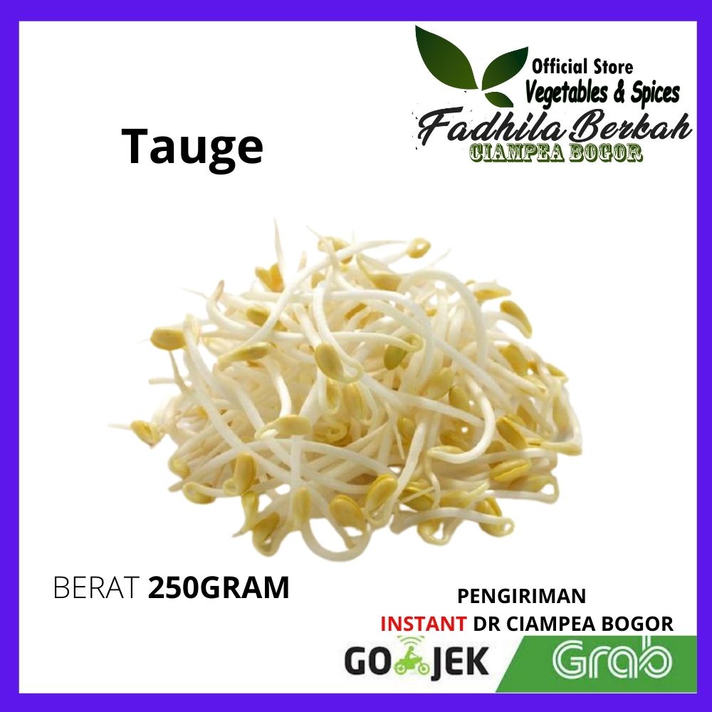 Jual Toge Tauge Touge Pasar warung Sayur Sayuran sayurmayur Segar fresh ...