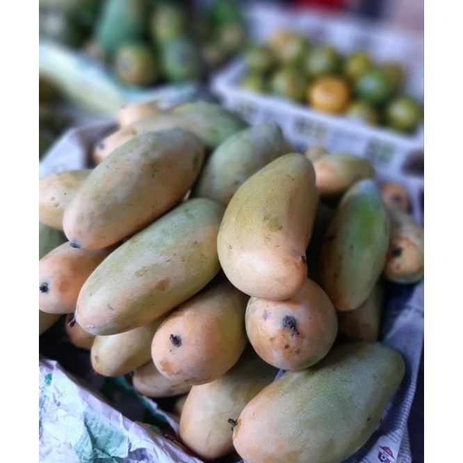 Jual BUAH MANGGA GOLEK FRESH MANIS 1KG | Shopee Indonesia