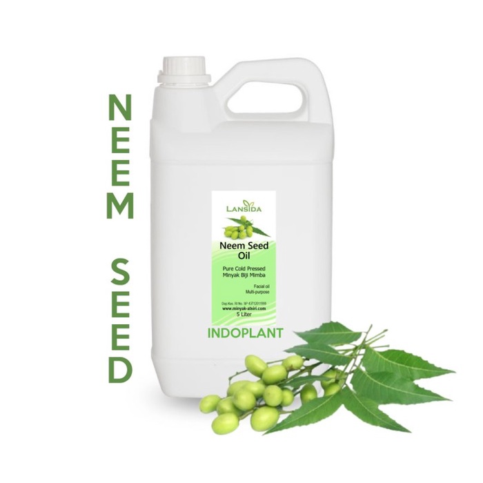 Jual Neem Seed Oil 5 L Minyak Biji Mimba Organik 100% Murni Murah ...
