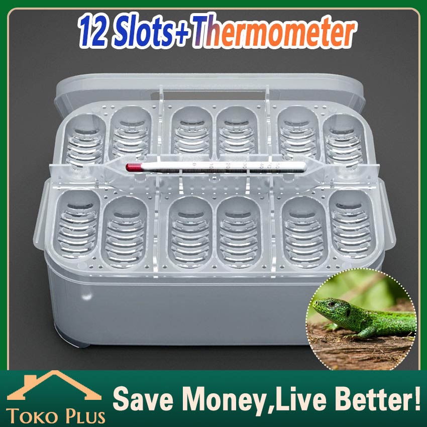 Jual Egg Incubator Reptil/Telur/Incub/Gecko/Bearded Dragon/Kotak ...