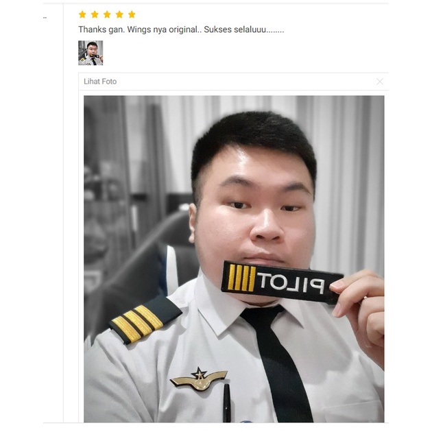 Jual Wings WING Pilot Garuda Indonesia ORIGINAL crew Airline | Shopee ...