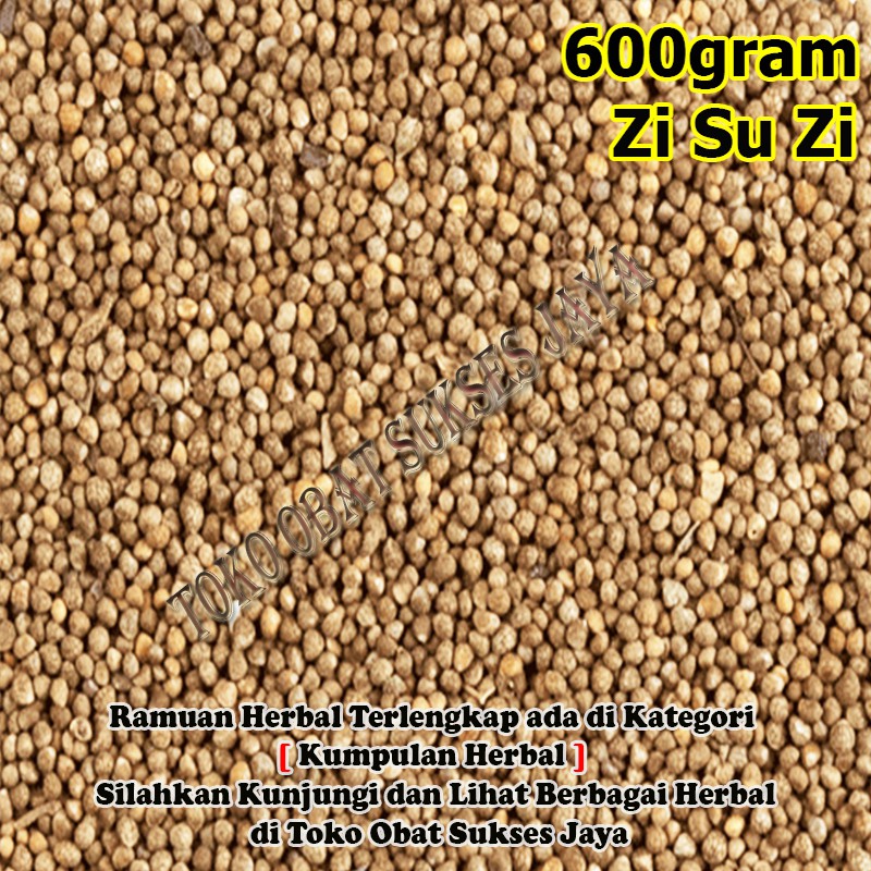 Jual [600gram] Zi Su Zi / Perilla Seed - Fructus Perillae Frutescentis ...