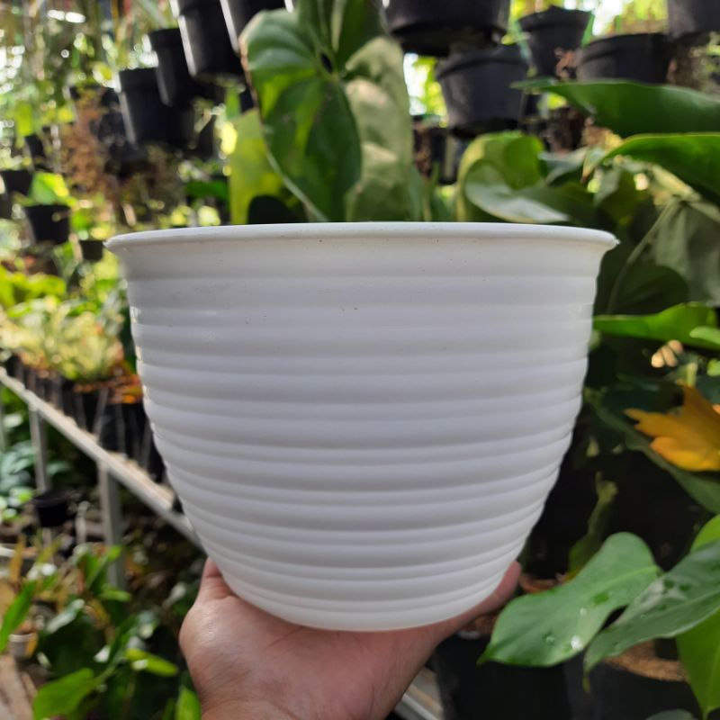 Jual Pot Bunga Hana 21 Putih / Pot Tanaman | Shopee Indonesia