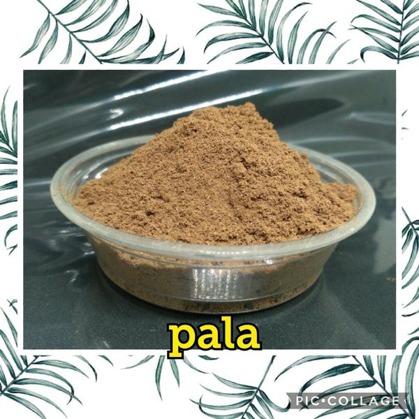 Jual 100 GRAM BUBUK BIJI PALA POLO MYRISTICA FRAGRANS NUTMEG ROU DOU ...