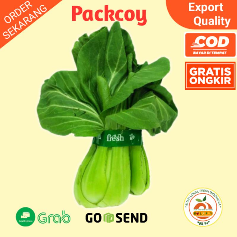 Jual PACKCOY SEGAR | Shopee Indonesia