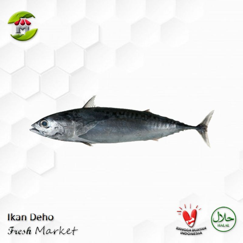 Jual [DEPOK] Ikan Deho Pack 900gr - 1kg | Shopee Indonesia