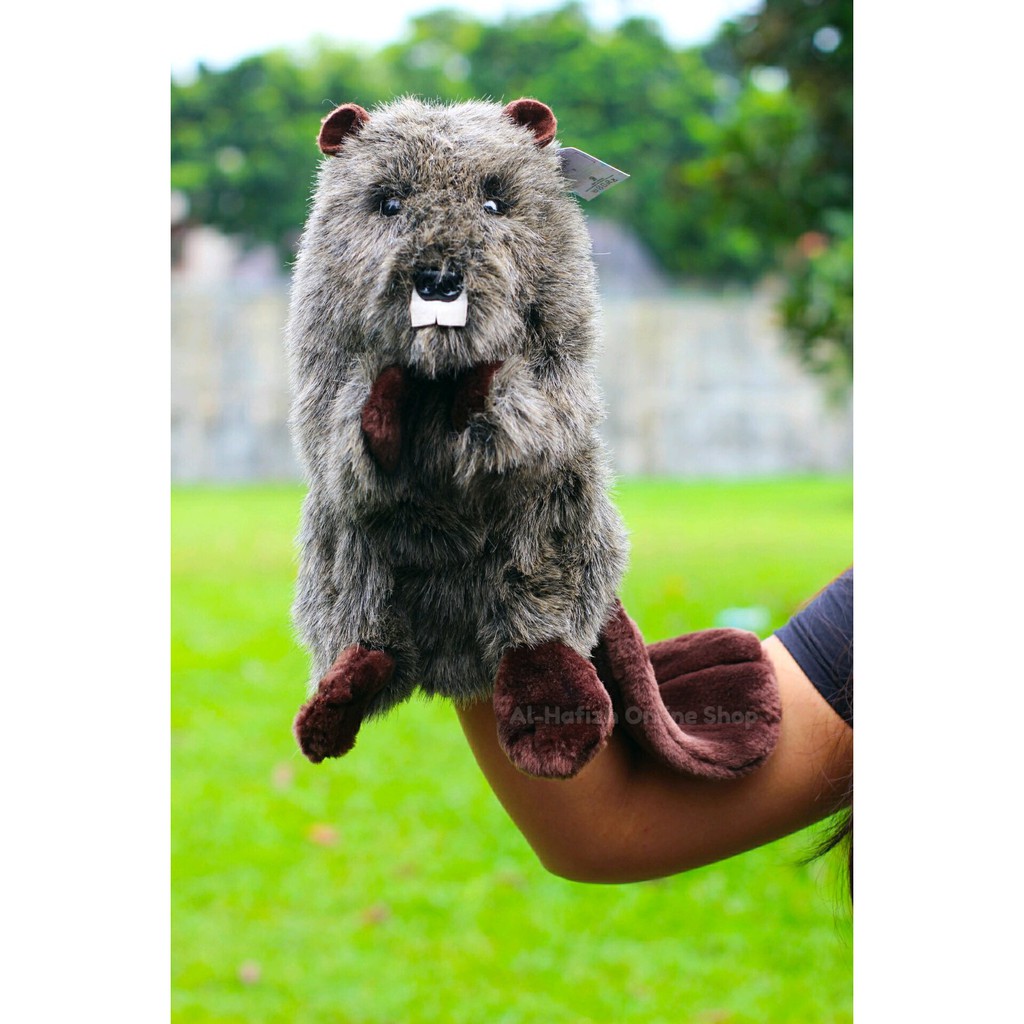 Jual Boneka Tangan Hand Puppet Beaver Murah | Shopee Indonesia