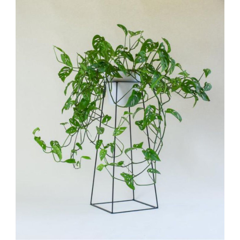 Jual CX8 STANDING BESI/STANDING POT BESI / ALAS POT ELEGANT | Shopee ...