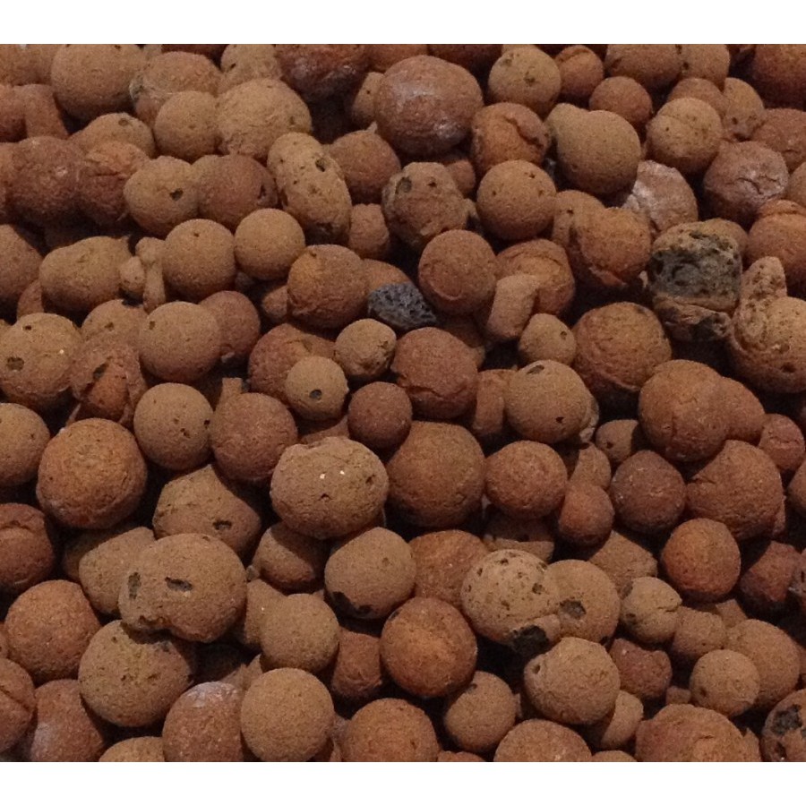 Jual Hydroton Germany Hidroton Jerman for Hydroponics Hidroponik ...