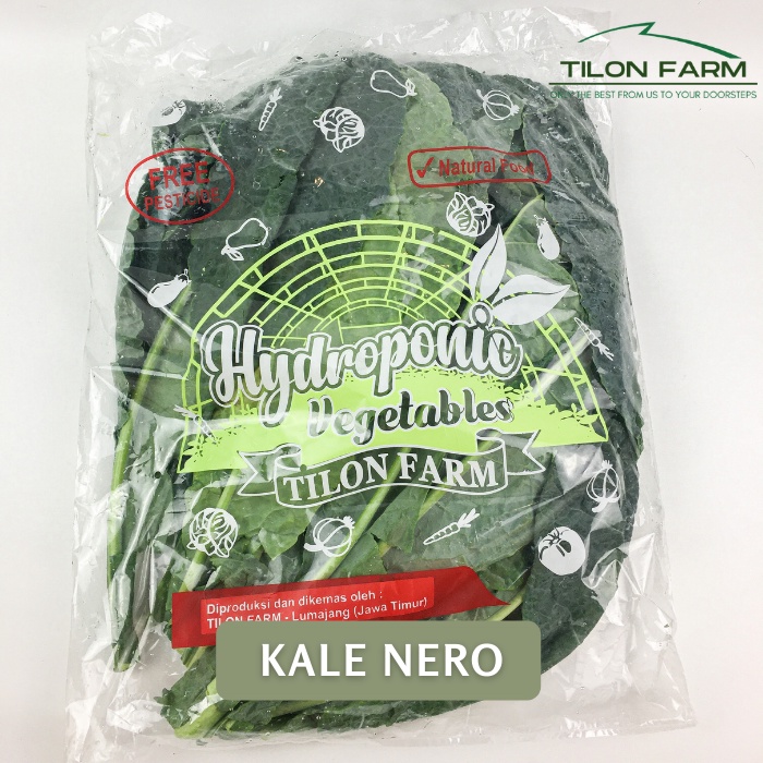Jual kale nero sayuran kale segar hijau kale dinosaurus tilon farm ...