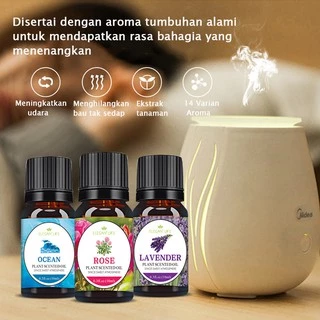 Produk GOOJODOQ SHOP | Shopee Indonesia