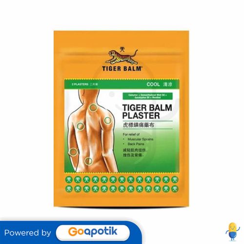 Jual Tiger Balm Plaster Cool Box 2 Lembar | Shopee Indonesia