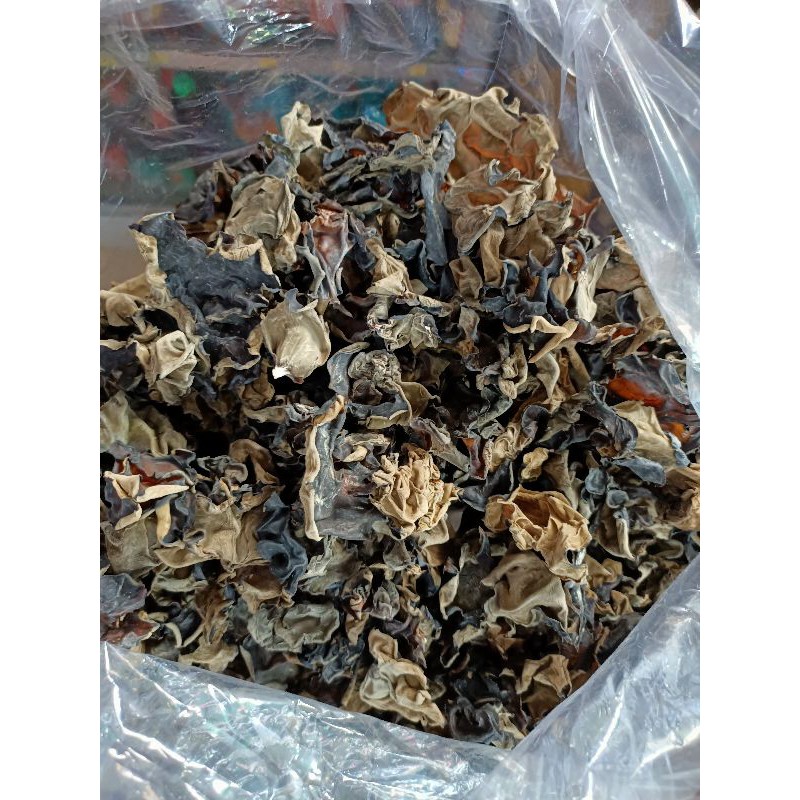 Jual Jamur Kuping Hitam / Jamur Kuping Import / Dried Black Fungus ...