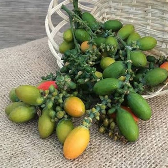 Jual Biji Melinjo Segar 250gr / Melinjo Sayur/ Tangkil/ Tangkil Sayur ...