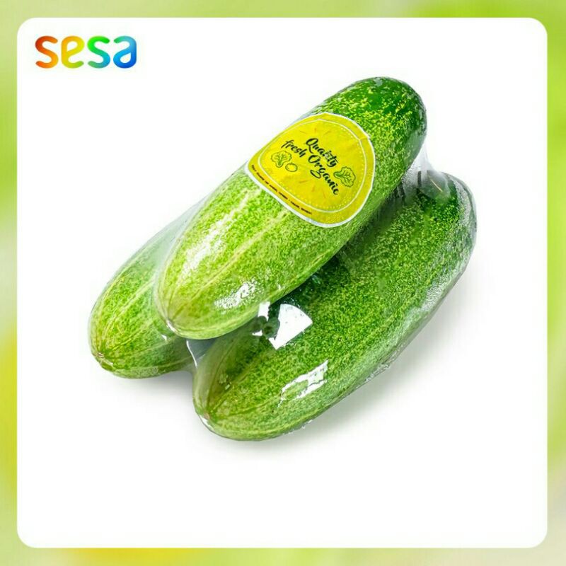 Jual Timun Lokal Fresh // Sayuran Timun 500 gr | Shopee Indonesia