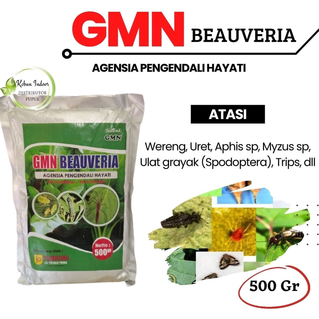 Jual Obat Hama Wereng Tanaman Padi, Insektisdia Hayati Cegah Penggerek ...