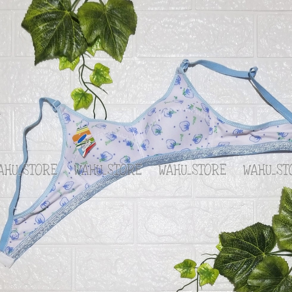 Jual BRA REMAJA ( ALL MERK 01 ) BH / BRA ANAK PEREMPUAN 1 PCS | Shopee ...