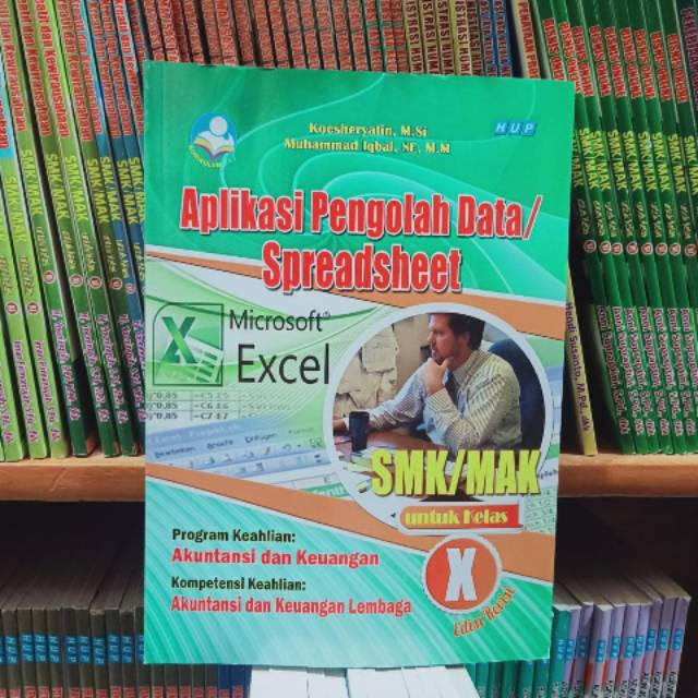 Jual BUKU Aplikasi Pengolah Data / Spreadsheet, Koesheryatin, M.Si ...