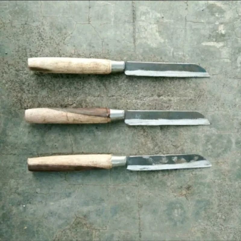 Jual Pisau Dapur Kecil Mini Tajam | Shopee Indonesia