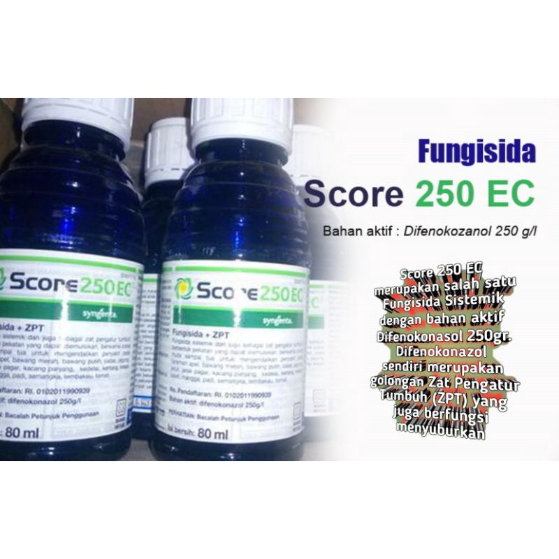 Jual SCORE 250EC 80ml | Shopee Indonesia