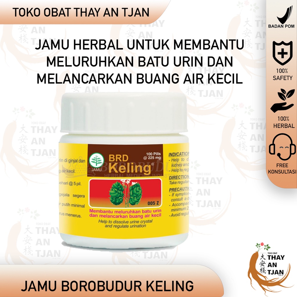 Jual KELING | JAMU BATU GINJAL | JAMU KENCING BATU | MENGHANCURKAN BATU ...