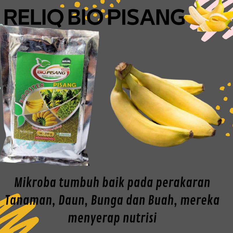 Jual Pupuk Untuk Pisang Cepat Berbuah, Boster Pelebat Buah Pisang | Shopee Indonesia