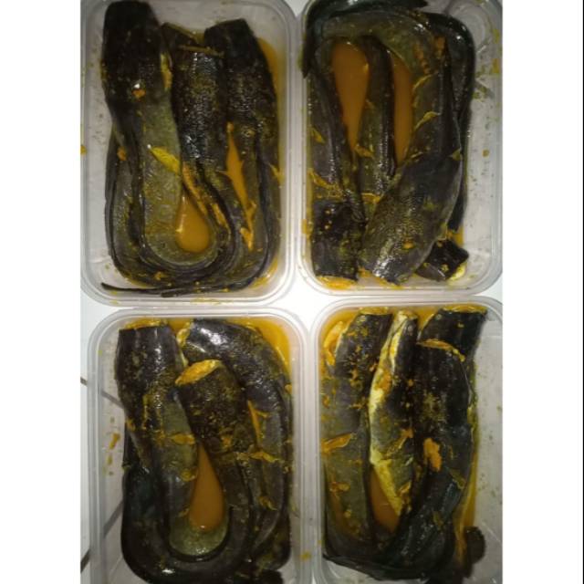 Jual Lele bumbu/lele bumbu kuning/lele murah | Shopee Indonesia