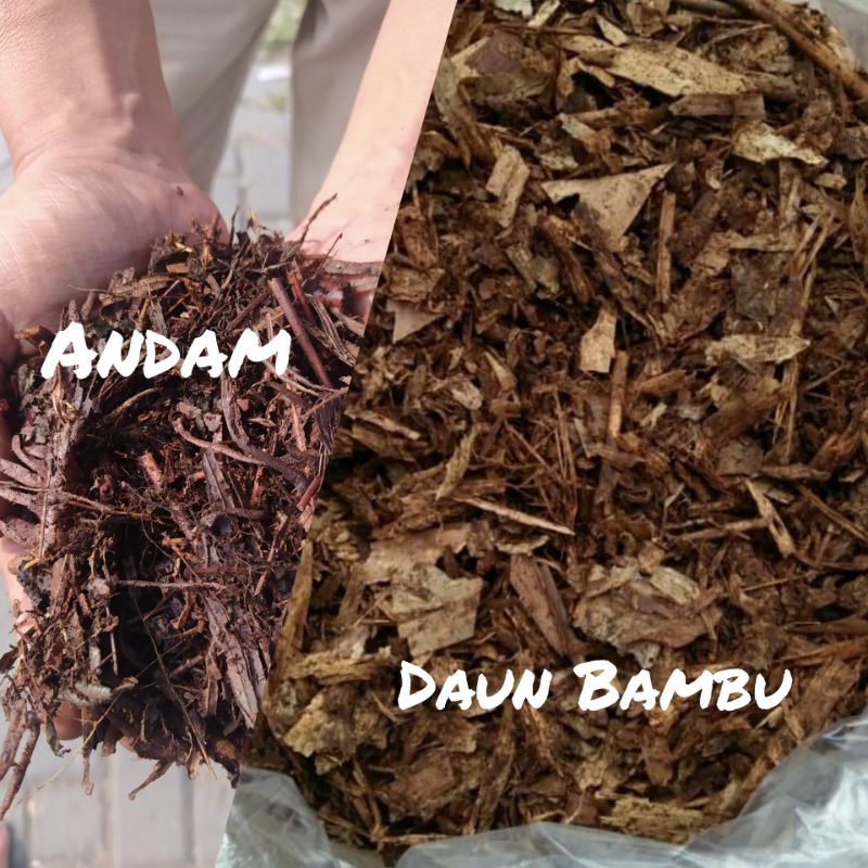 Jual Media Tanam Andam + Bambu Cacahan | Aglonema | Anthurium |Kemasan ...