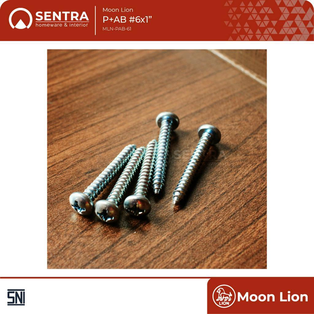 Jual Baut P+AB #6 1" Self-Tapping Screw Moon Lion Value Pack | Shopee ...