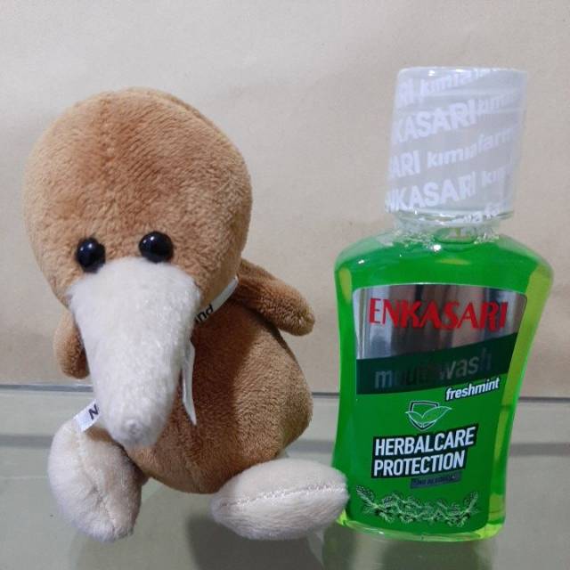 Jual ENKASARI Mouthwash rasa Freshmint isi 100ml | Shopee Indonesia