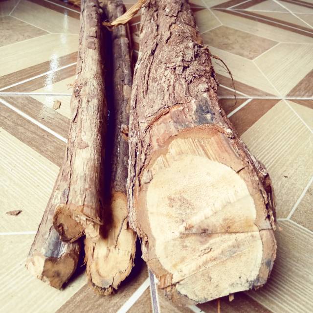 Jual Kayu bajakah asli dari hutan Kalimantan tengah | Shopee Indonesia